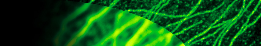 PDL 800-D | PicoQuant