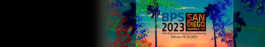 Homepage | PicoQuant