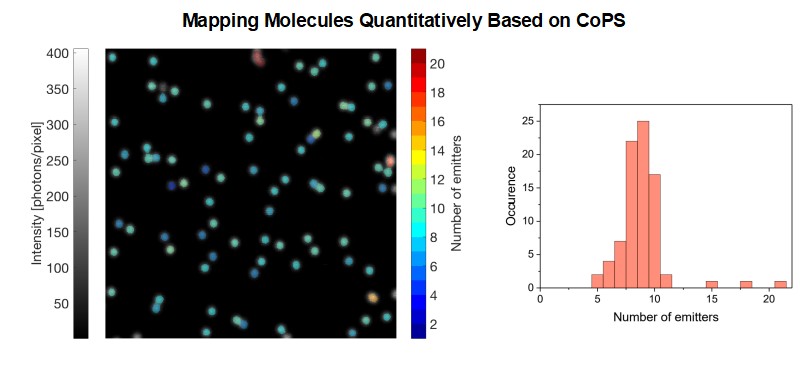 Mapping Molecules Quantitatively Based On Cops Counting By Photon